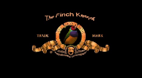 Hand Rearing Birds - Tips & tricks on hand rearing birds